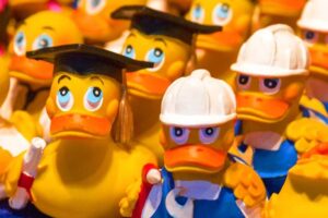 Cruise Ducks: Everything You Need to Know
